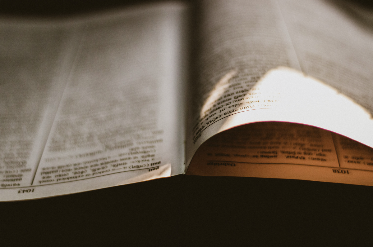 Minority Authors You Should Be Reading – America Equals
